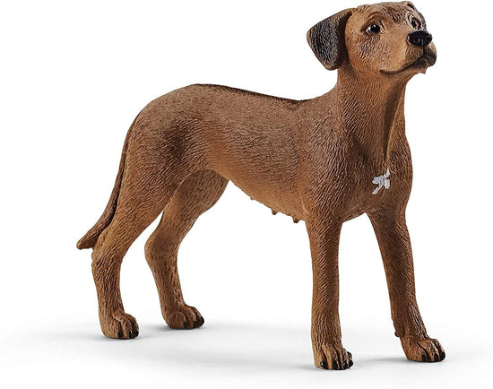 Rhodesian Ridgeback Schleich – toysvaldichiana.it