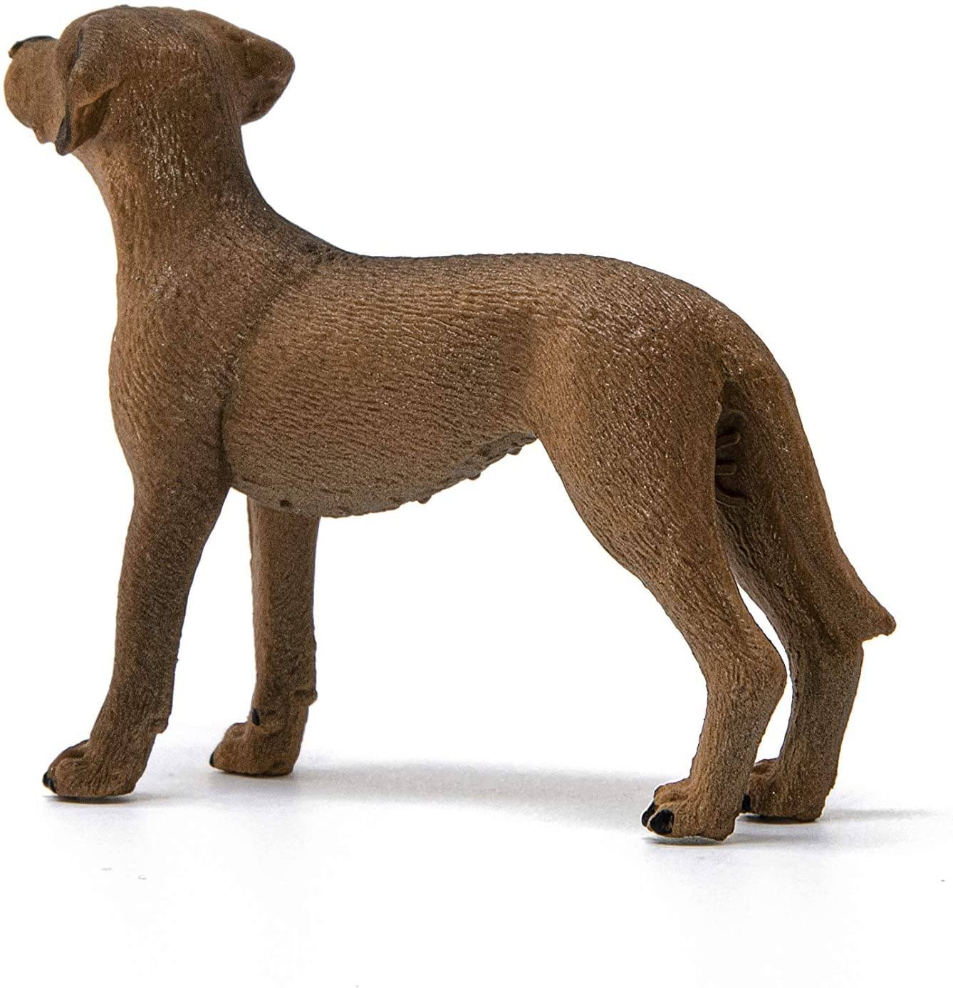 Rhodesian Ridgeback Schleich – toysvaldichiana.it