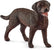 Schleich Labrador Retriever Femmina – toysvaldichiana.it